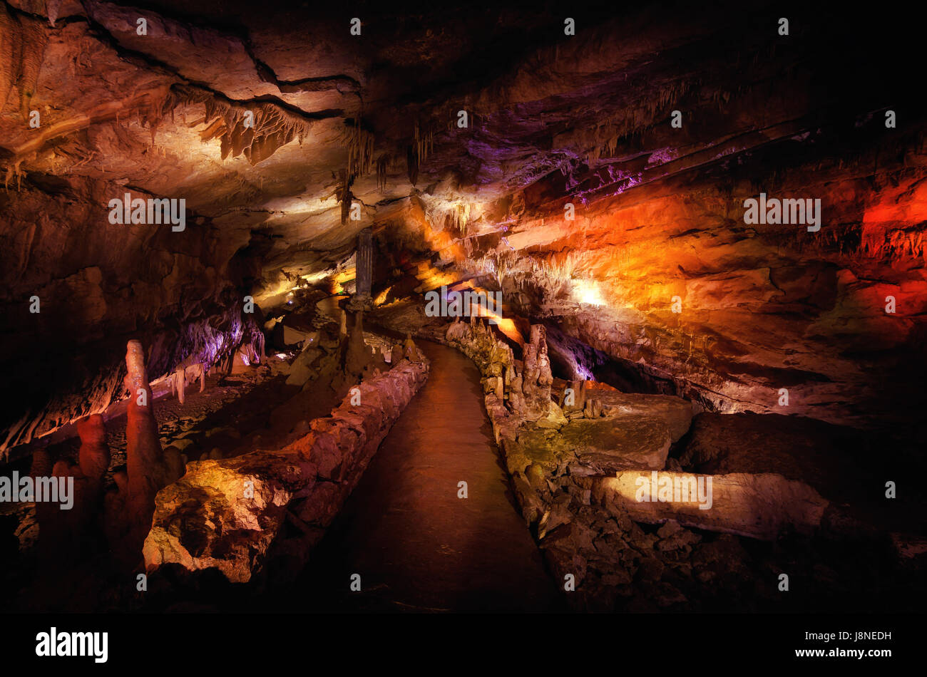 Tourists in Grotta Gigante - the biggest cave in Europe, located near ...