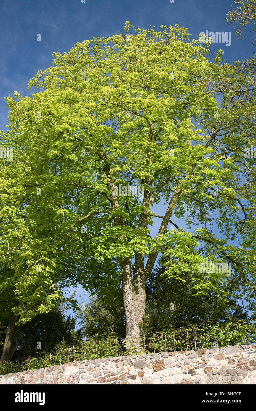 big, large, enormous, extreme, powerful, imposing, immense, relevant ...