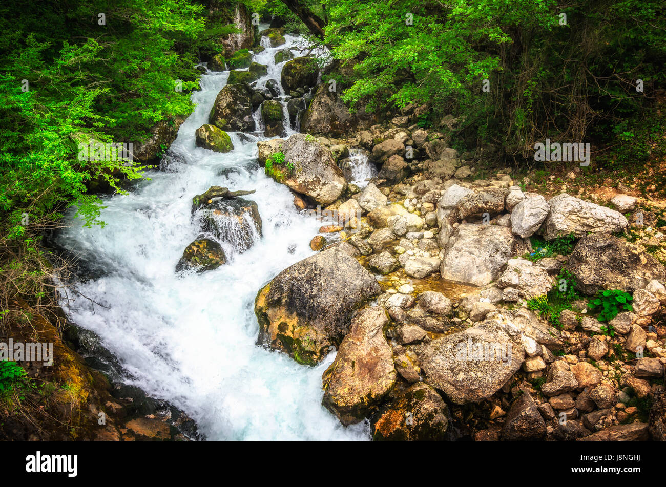 Jungle landscape with flowing turquoise water of georgian cascade ...
