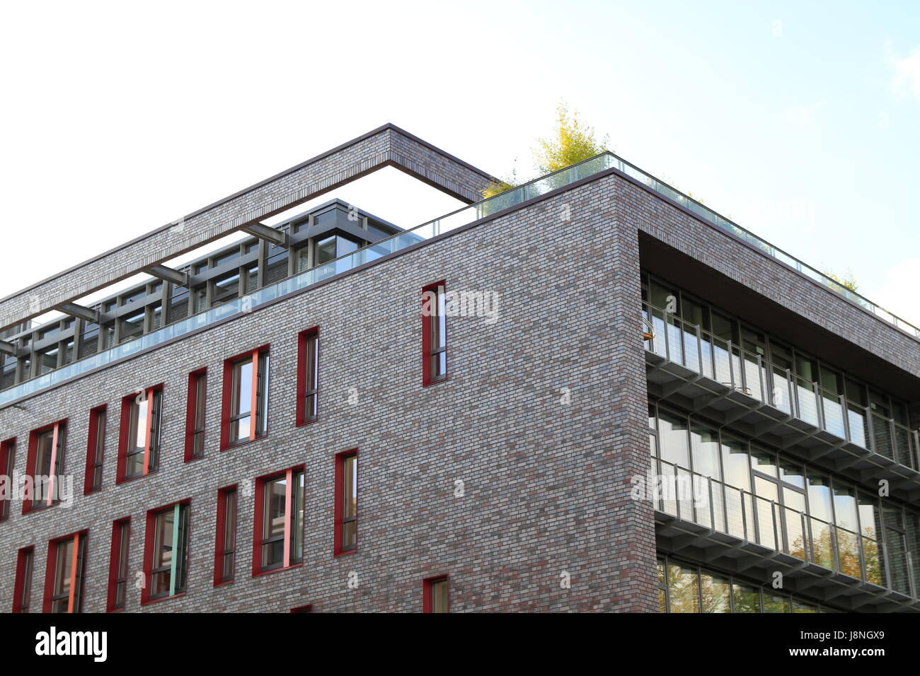 office, modern, modernity, cologne, office building, office block ...