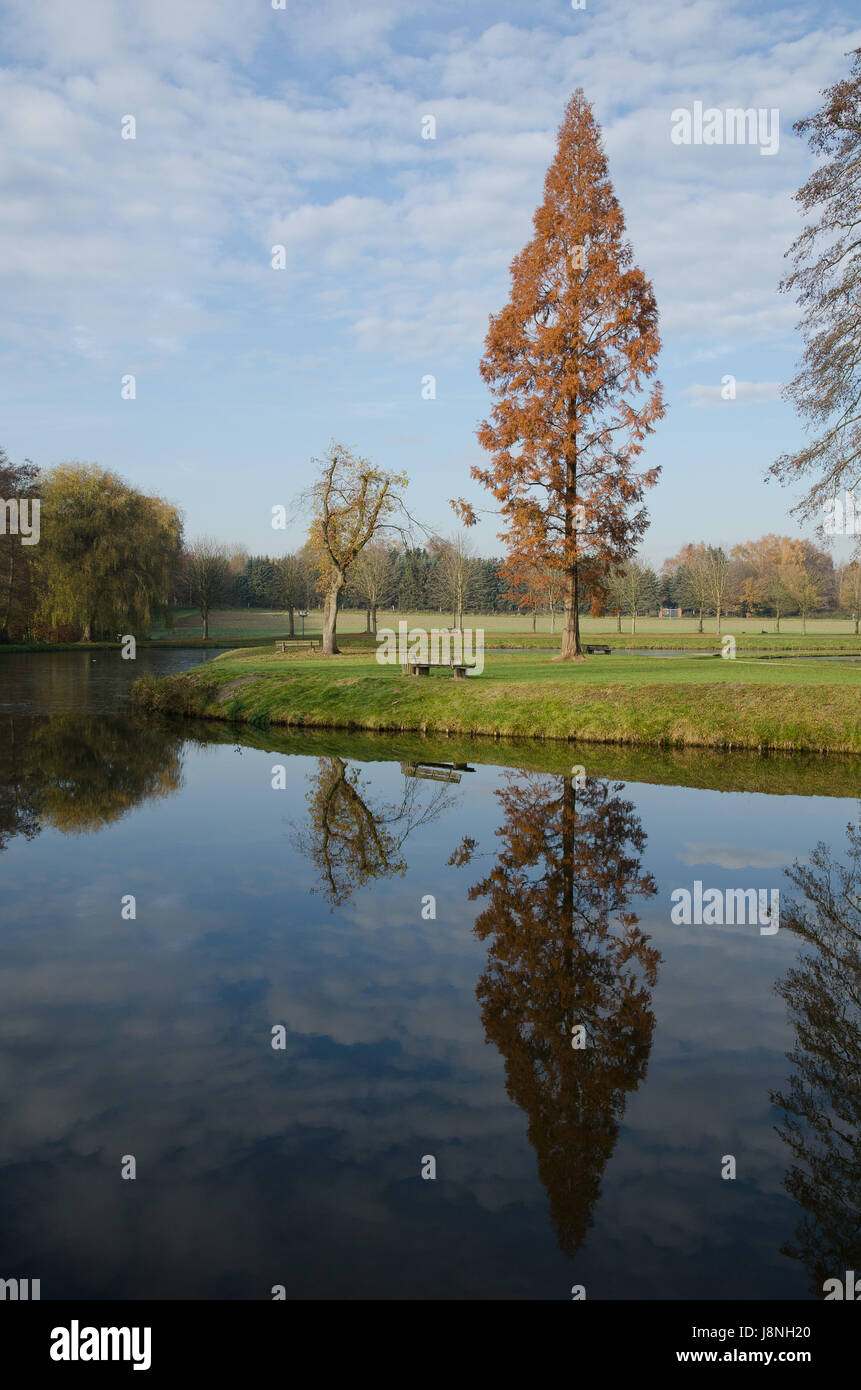 tower, tree, fresh water, pond, water, tower, tree, trees, towers ...