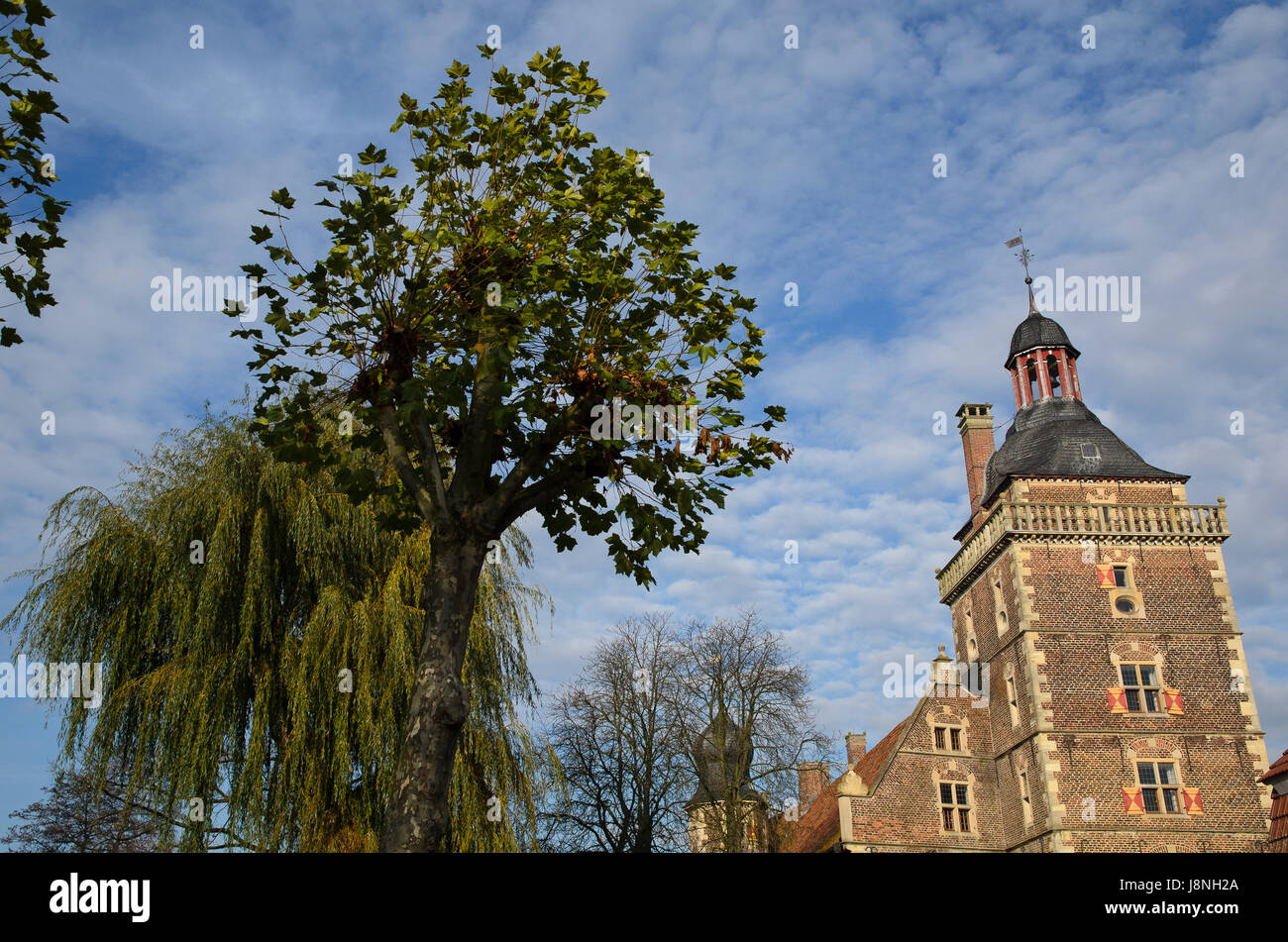 tower, tree, fresh water, pond, water, tower, tree, trees, towers ...