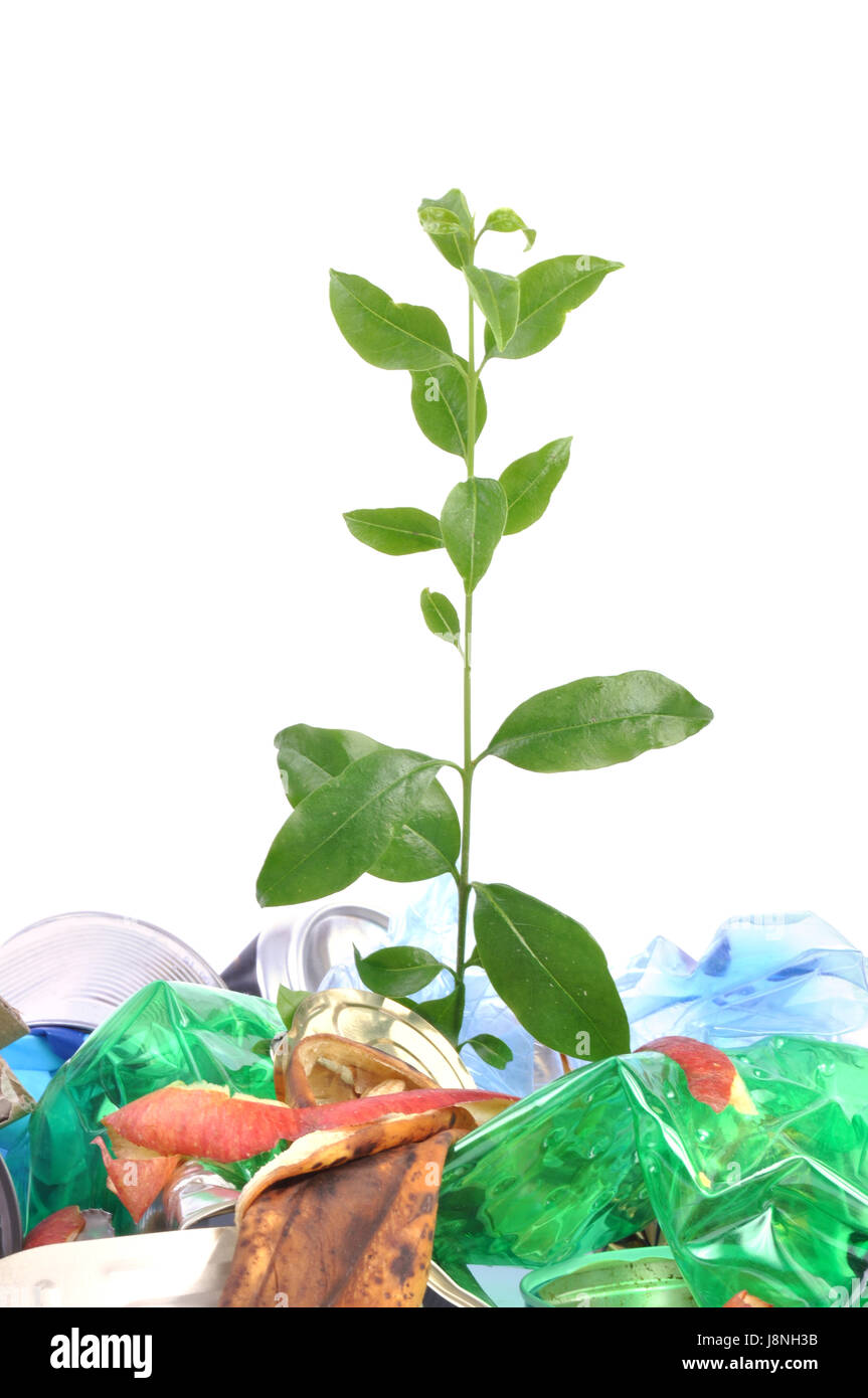 life, exist, existence, living, lives, live, new, trash, growth, grow ...