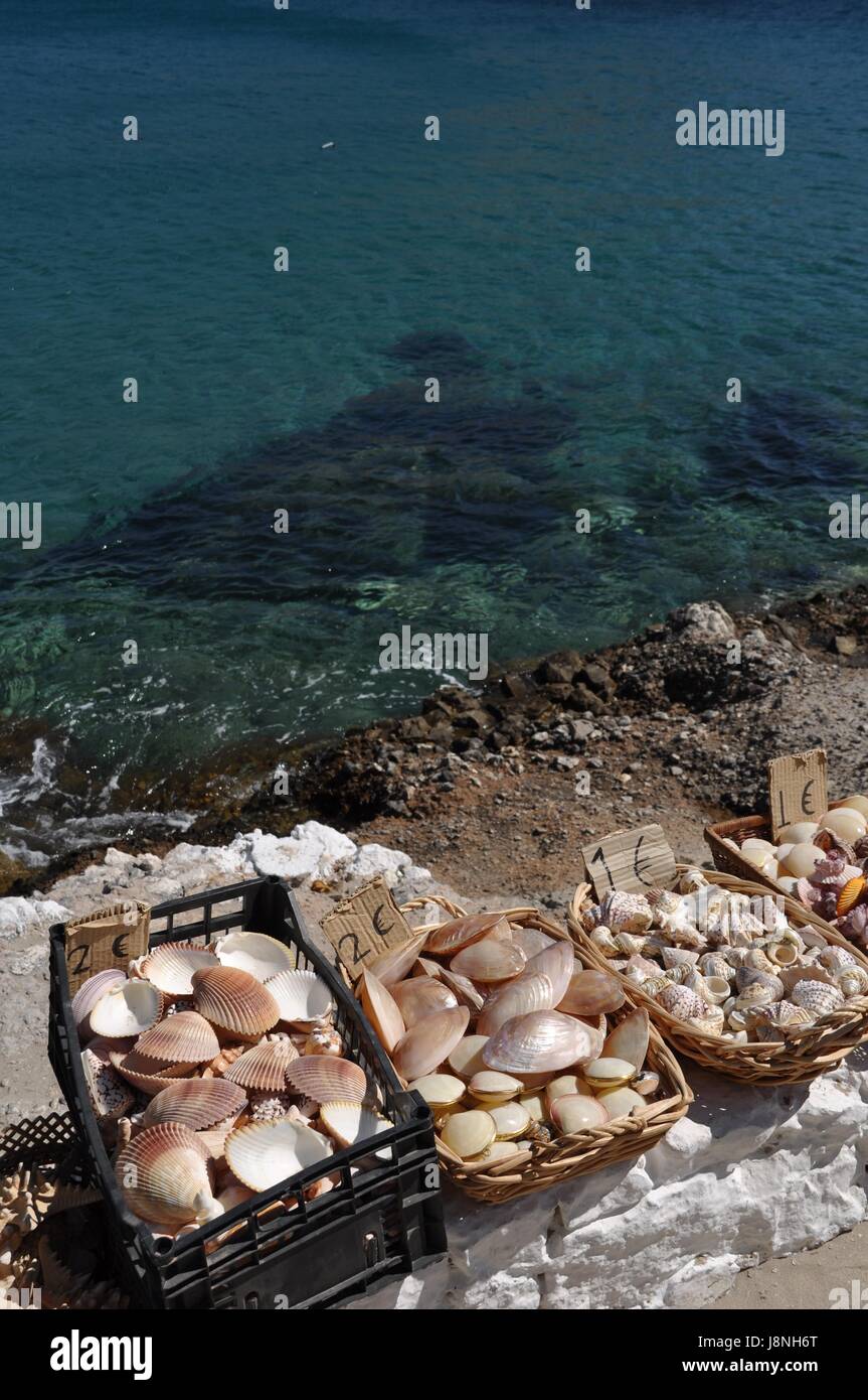 greece, shell, greek, bay, island, seashell, salt water, sea, ocean ...