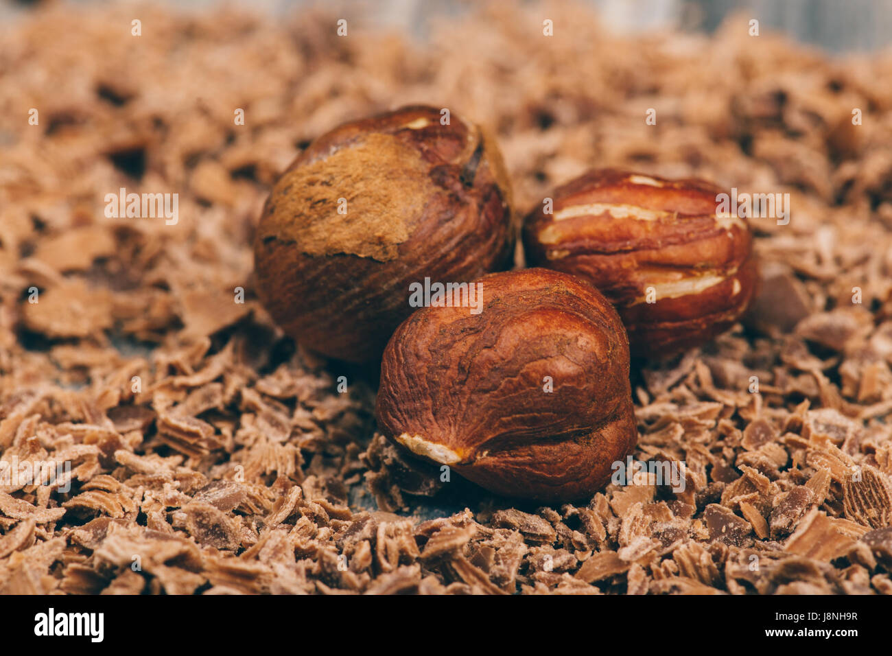 Macro shot of peeled hazelnuts lying in chocolate chips Stock Photo - Alamy