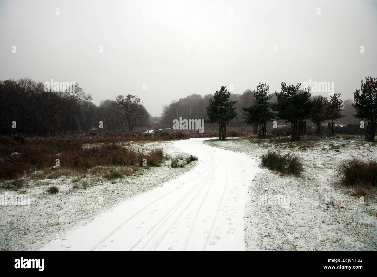 park, winter, snow, coke, cocaine, material, drug, anaesthetic ...