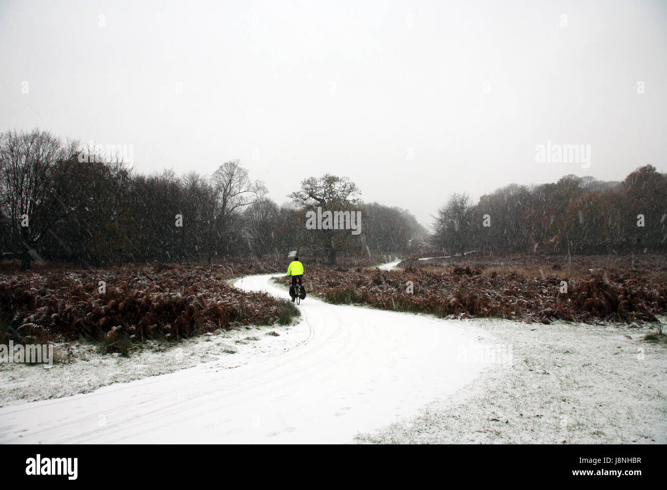 park, winter, snow, coke, cocaine, material, drug, anaesthetic ...