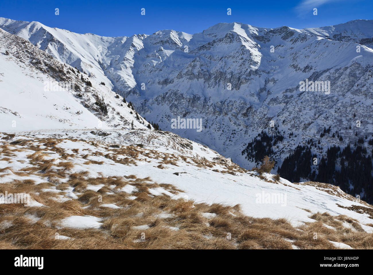 blue, beautiful, beauteously, nice, winter, cold, tourism, alps, snow ...