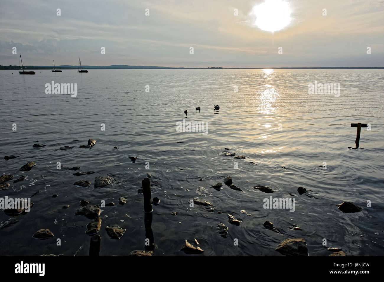 Sunset at Steinhuder Meer,Hanover,Germany.Steihuder Meer Nature Park ...