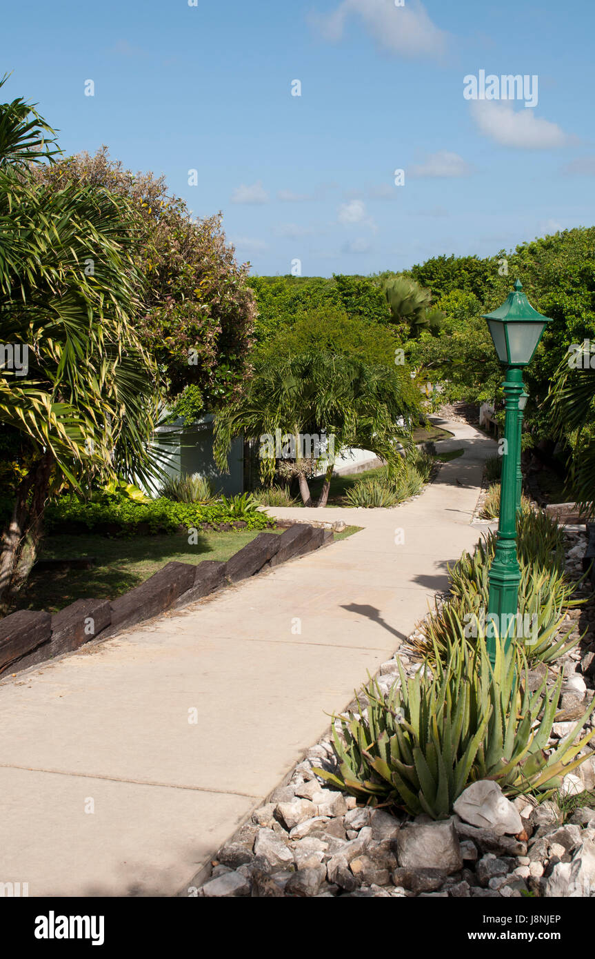 travel, hotel, aloe, tropical, resort, path, way, pathway, walk, go ...