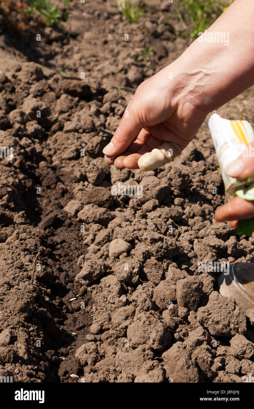 finger, agricultural, garden, ground, soil, earth, humus, agriculture ...