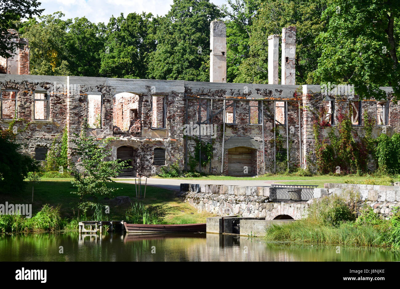 Plants growing on old ruins Stock Photo - Alamy