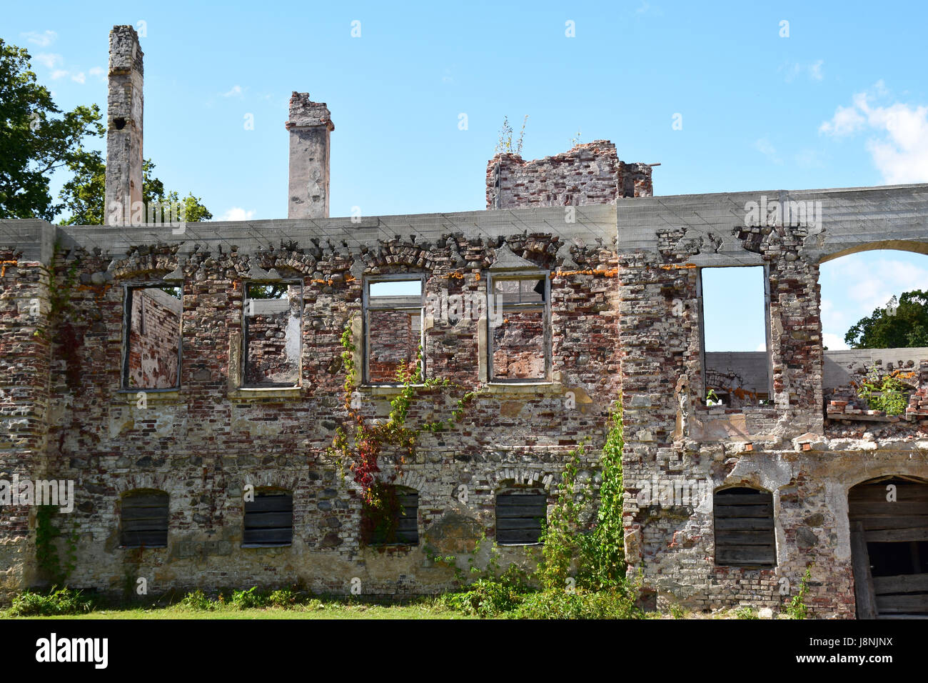 Plants growing on old ruins Stock Photo - Alamy