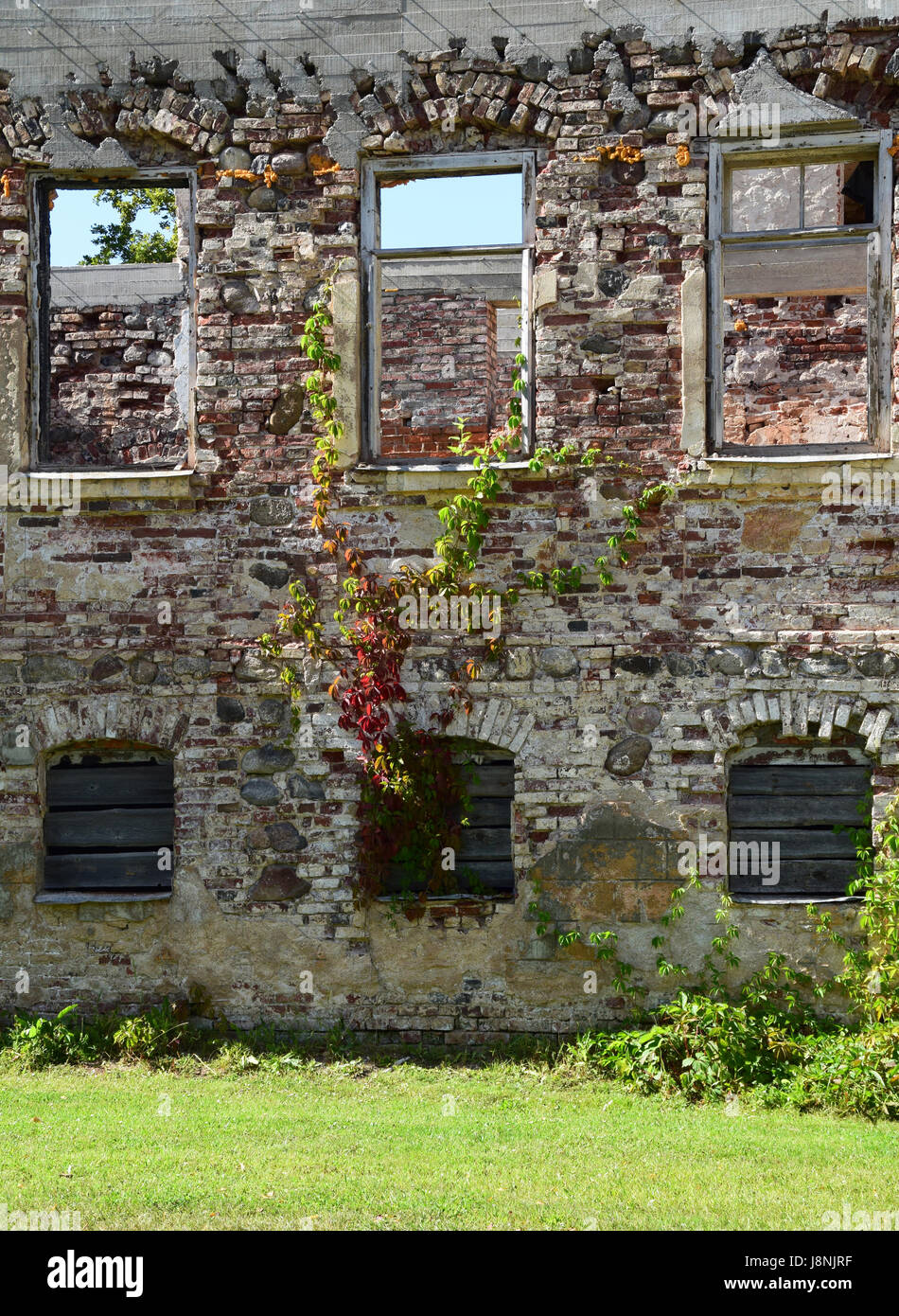 Plants growing on old ruins Stock Photo - Alamy