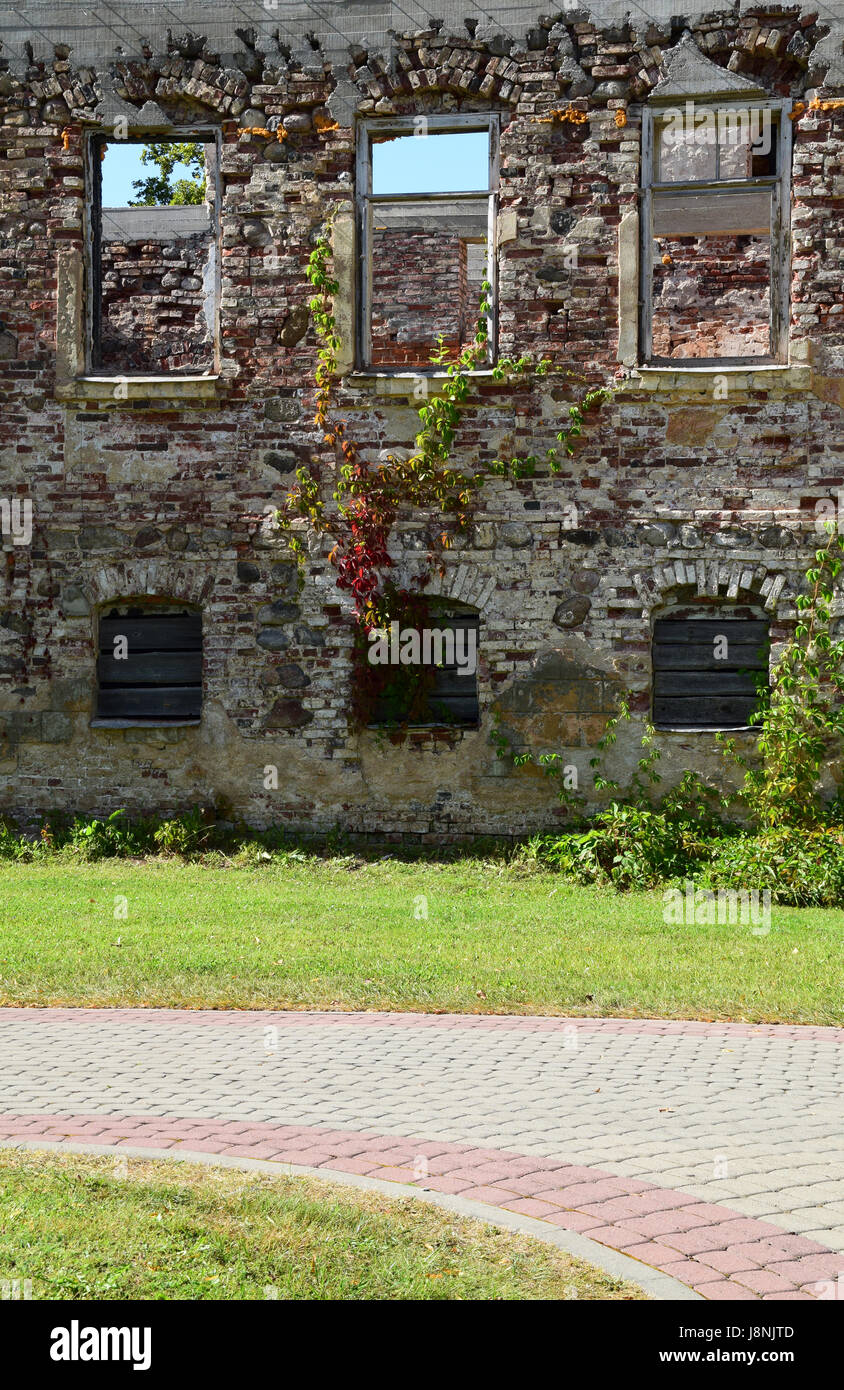 Plants growing on old ruins Stock Photo - Alamy