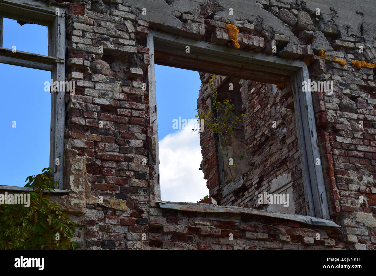 Plants growing on old ruins Stock Photo - Alamy
