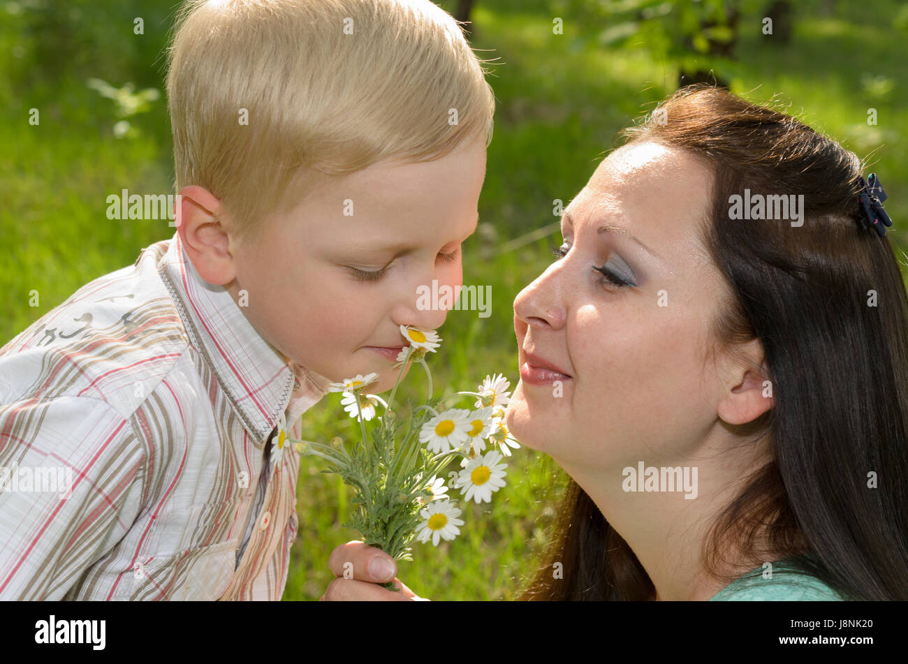 The boy gives flowers to his mother Stock Photo - Alamy