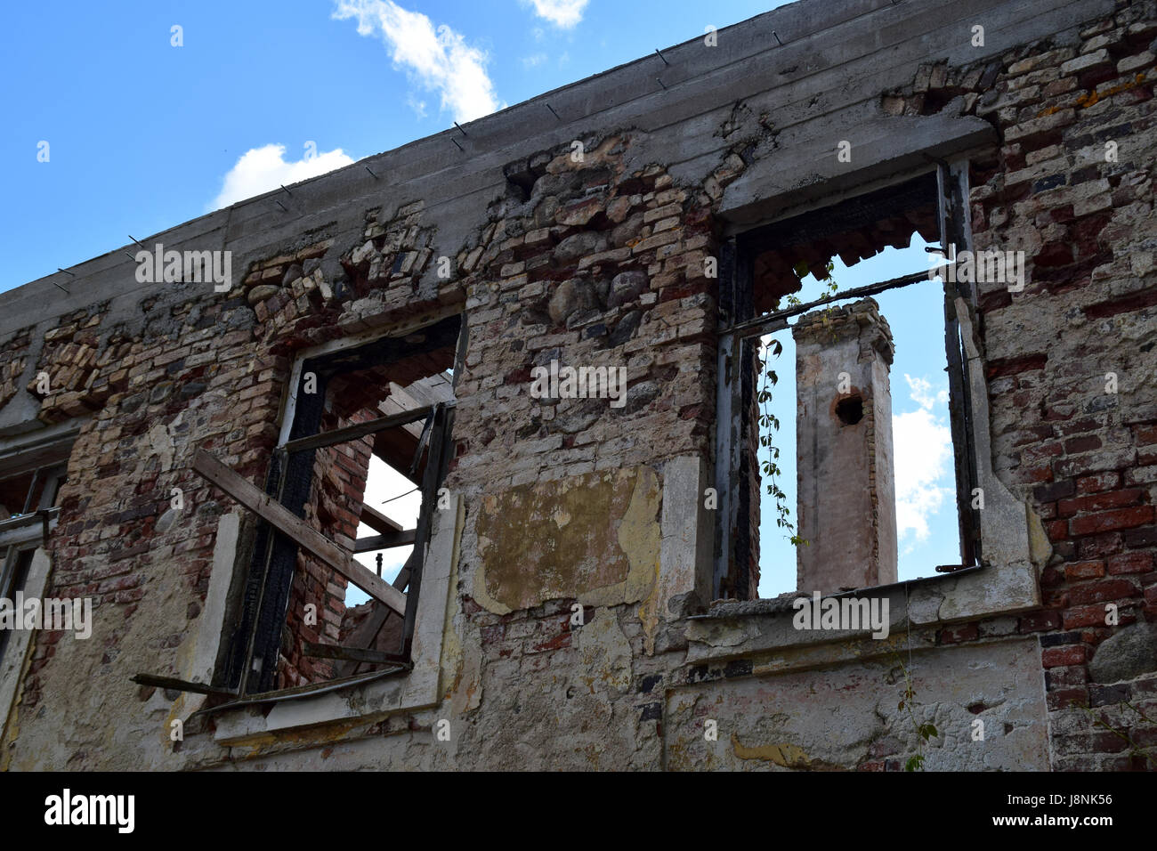 Plants growing on old ruins Stock Photo - Alamy
