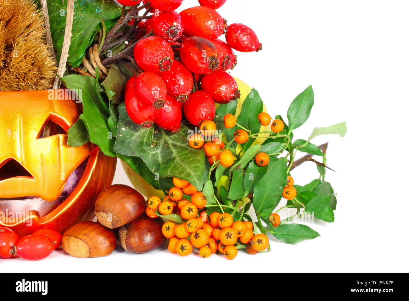 flower, rose, plant, lantern, halloween, shiner, light, lamp, luminary ...