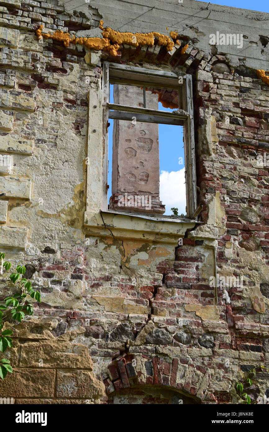 Plants growing on old ruins Stock Photo - Alamy