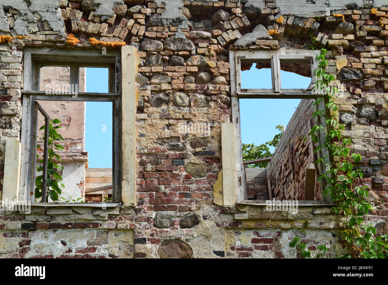Plants growing on old ruins Stock Photo - Alamy