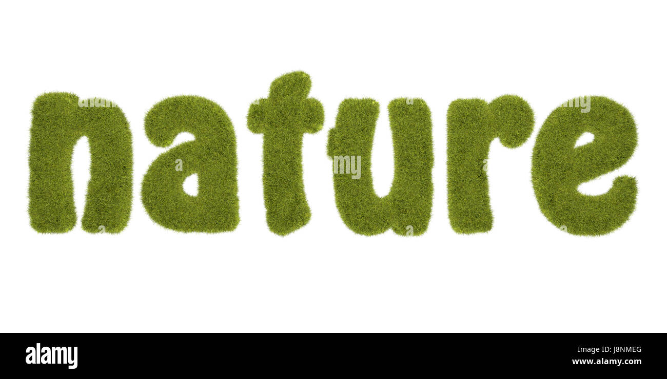word, letter, text, meadow, grass, lawn, green, nature, isolated ...