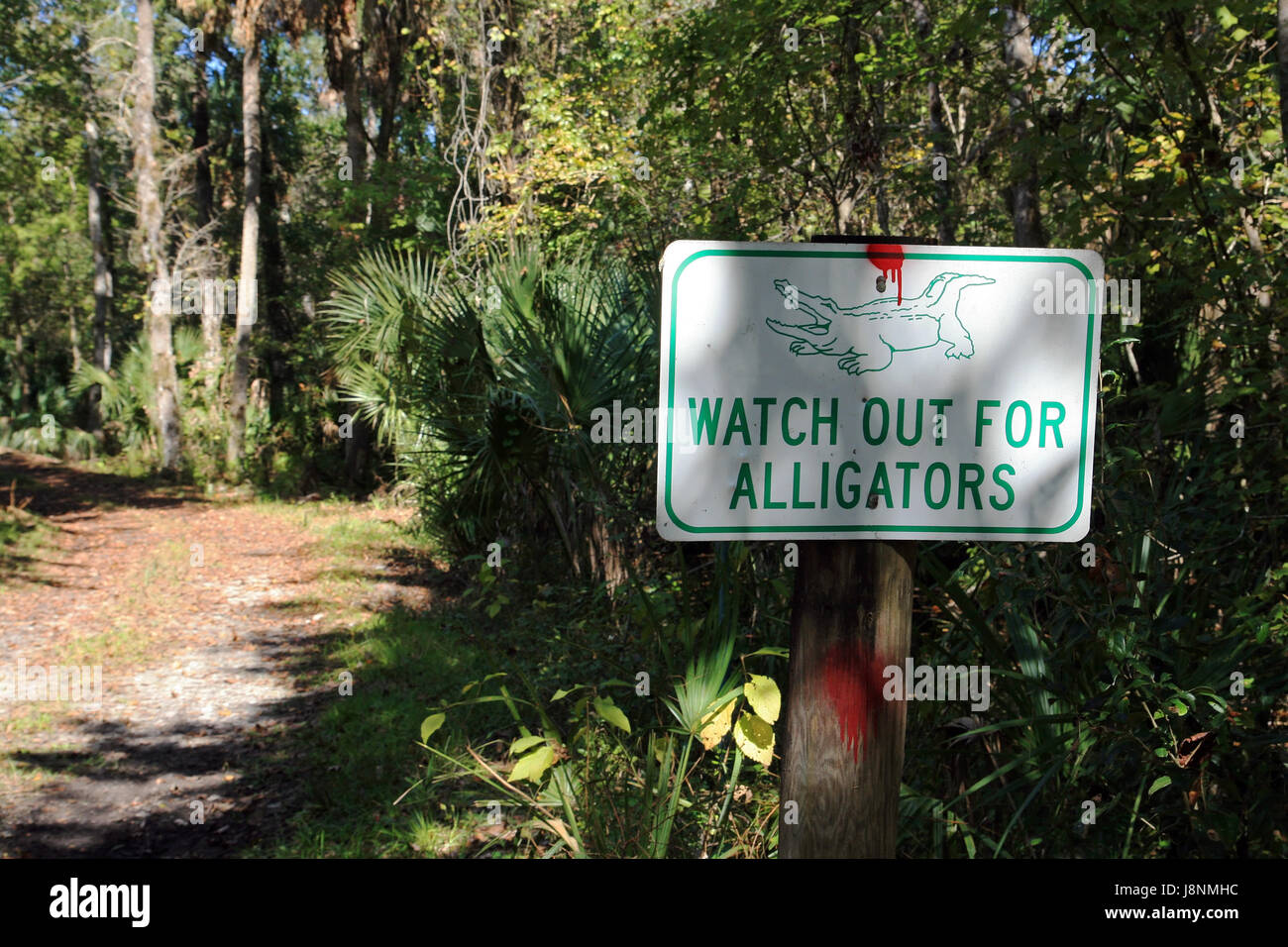 warning sign alligators Stock Photo - Alamy