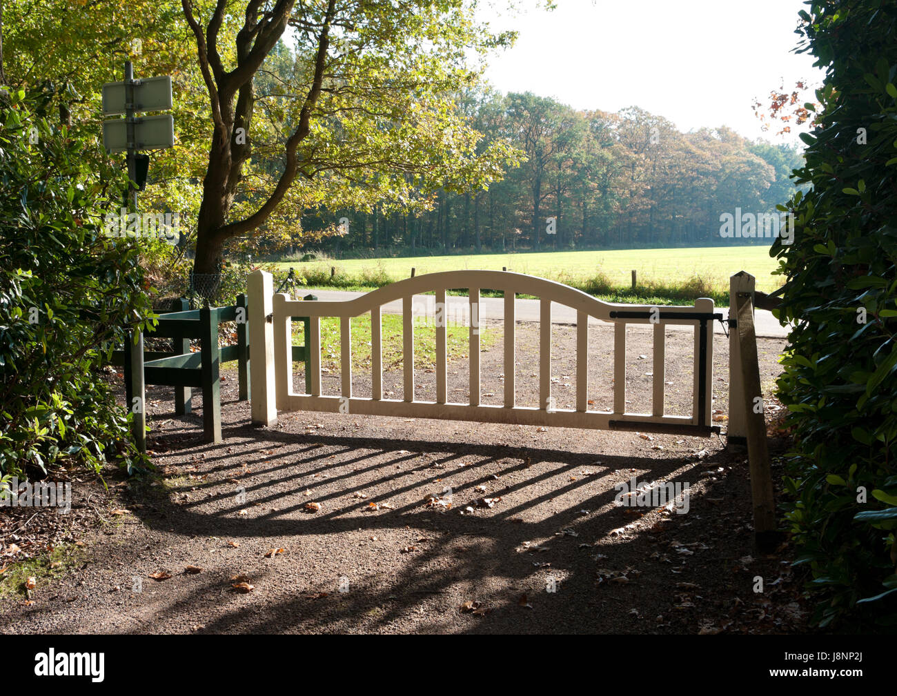 park, goal, passage, gate, archgway, gantry, exit, fall, autumn ...