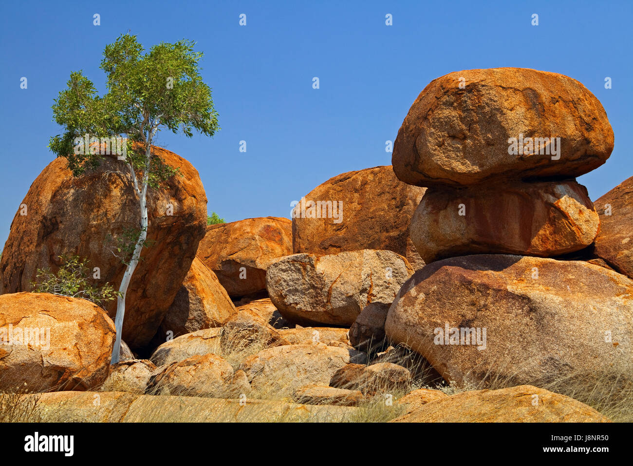blue, tree, stone, desert, wasteland, formation, rock, australia, bush ...