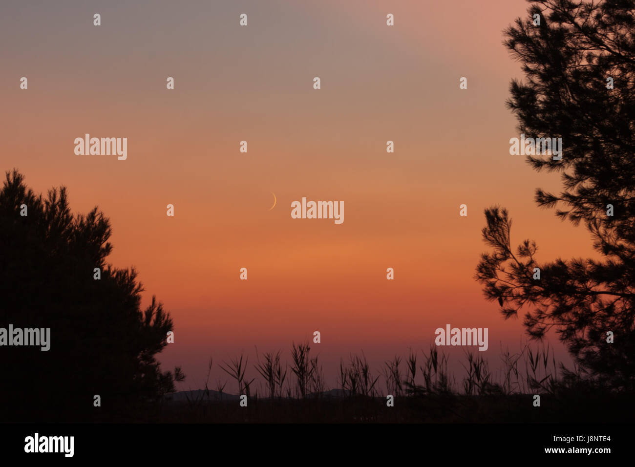 sunset, play of colours, moon, france, twilight, silhouette, Provence ...