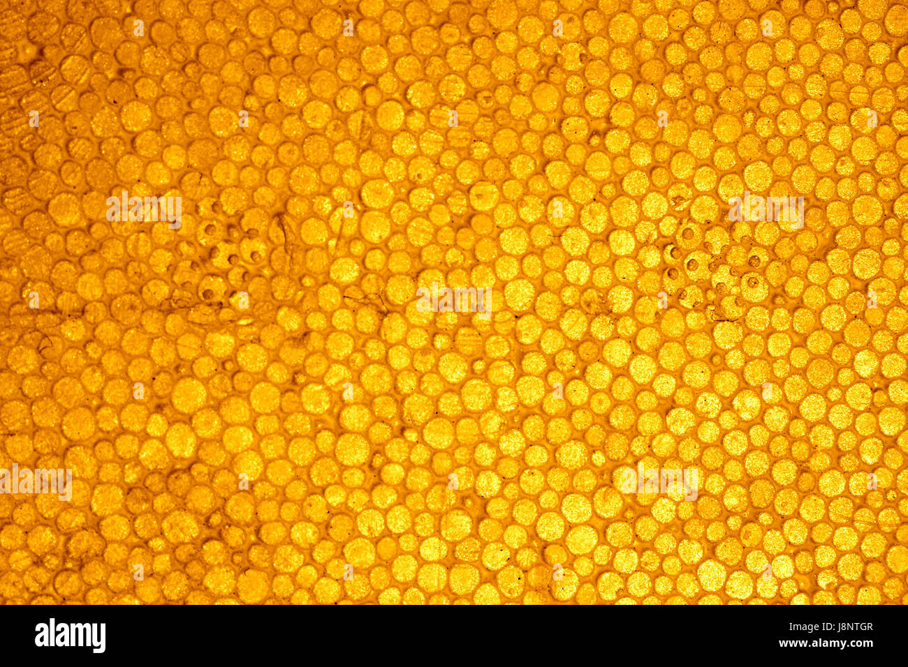 foam, golden, abstract, coarse, backdrop, background, gold, texture ...