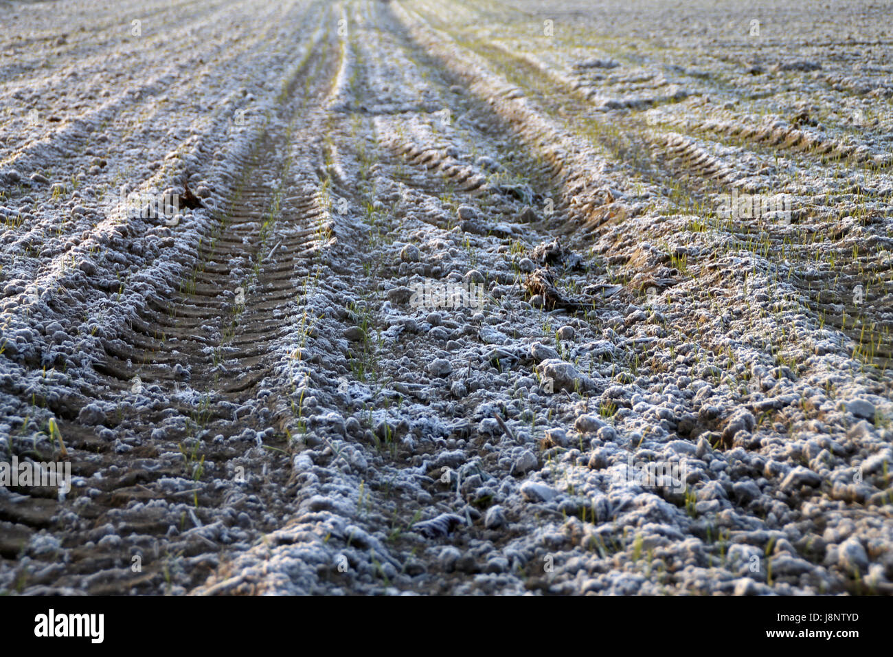 Traktorenspuren hi-res stock photography and images - Alamy