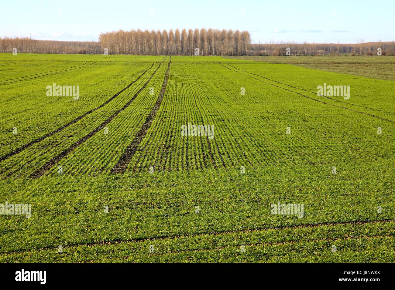 agricultural, agriculture, farming, field, growth, land, grow, realty ...