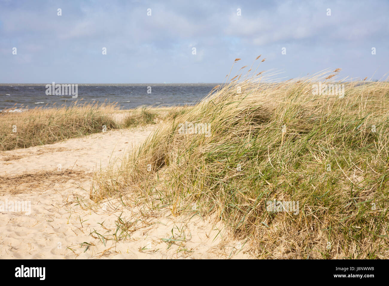 Ebb tide at the north sea Stock Photo - Alamy