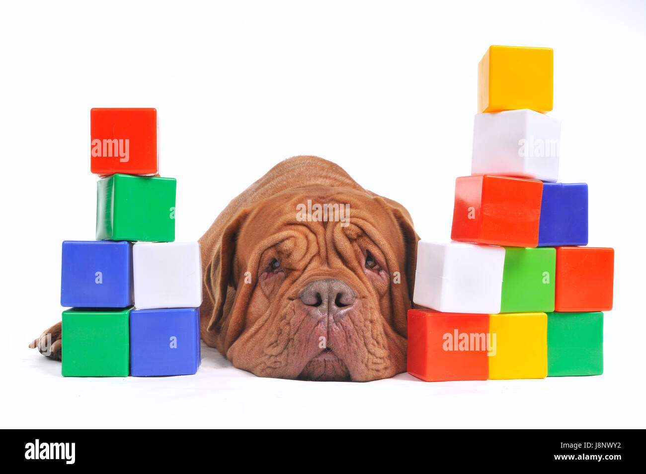 tower, object, education, build, spare time, free time, leisure ...