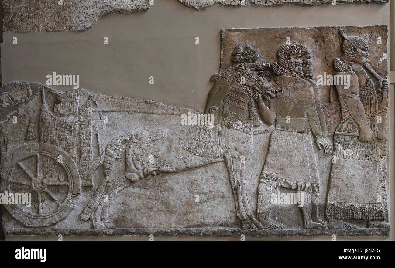 Assyrian chariot hi-res stock photography and images - Alamy
