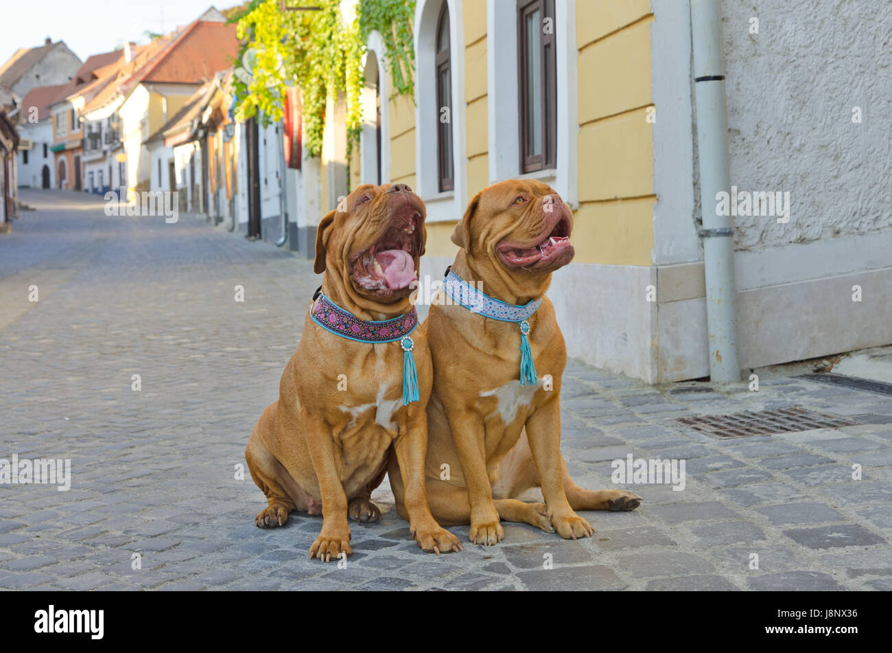 wait, waiting, house, building, walk, go, going, walking, friendship ...