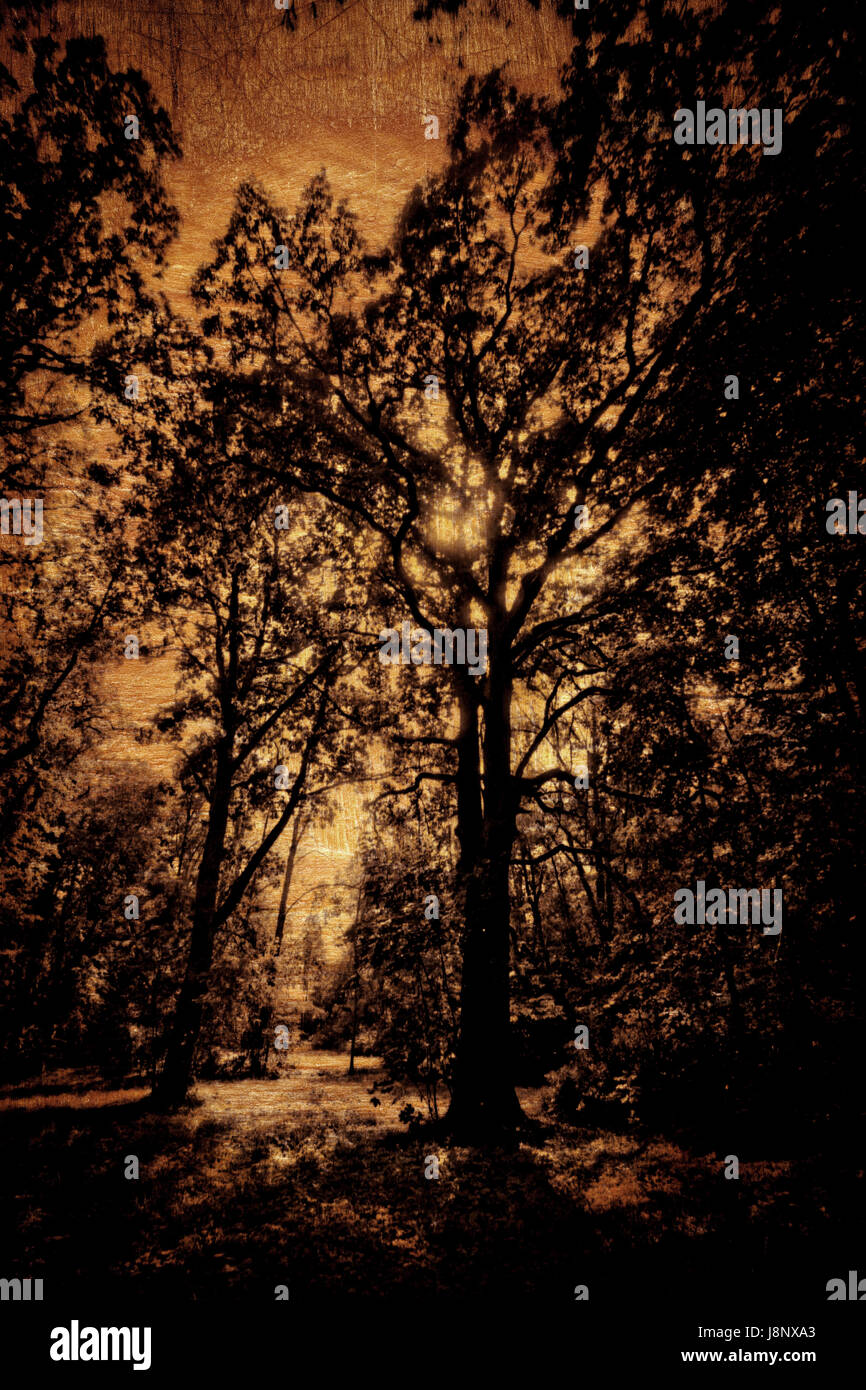 Grunge image of a tree on a wood texture Stock Photo - Alamy