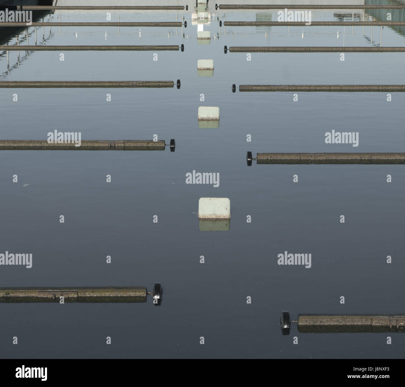 sewage, sewages, water, tank, recycling, sludge, basin, pelvis, plant ...