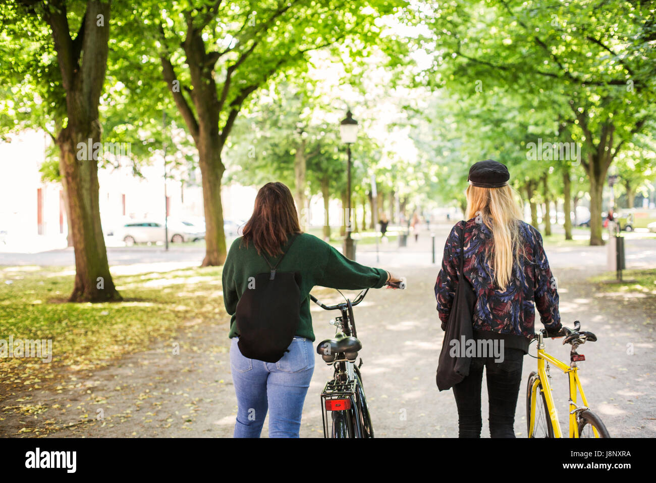 Two Young Women Walking Park Pushing Bikes High Resolution Stock ...