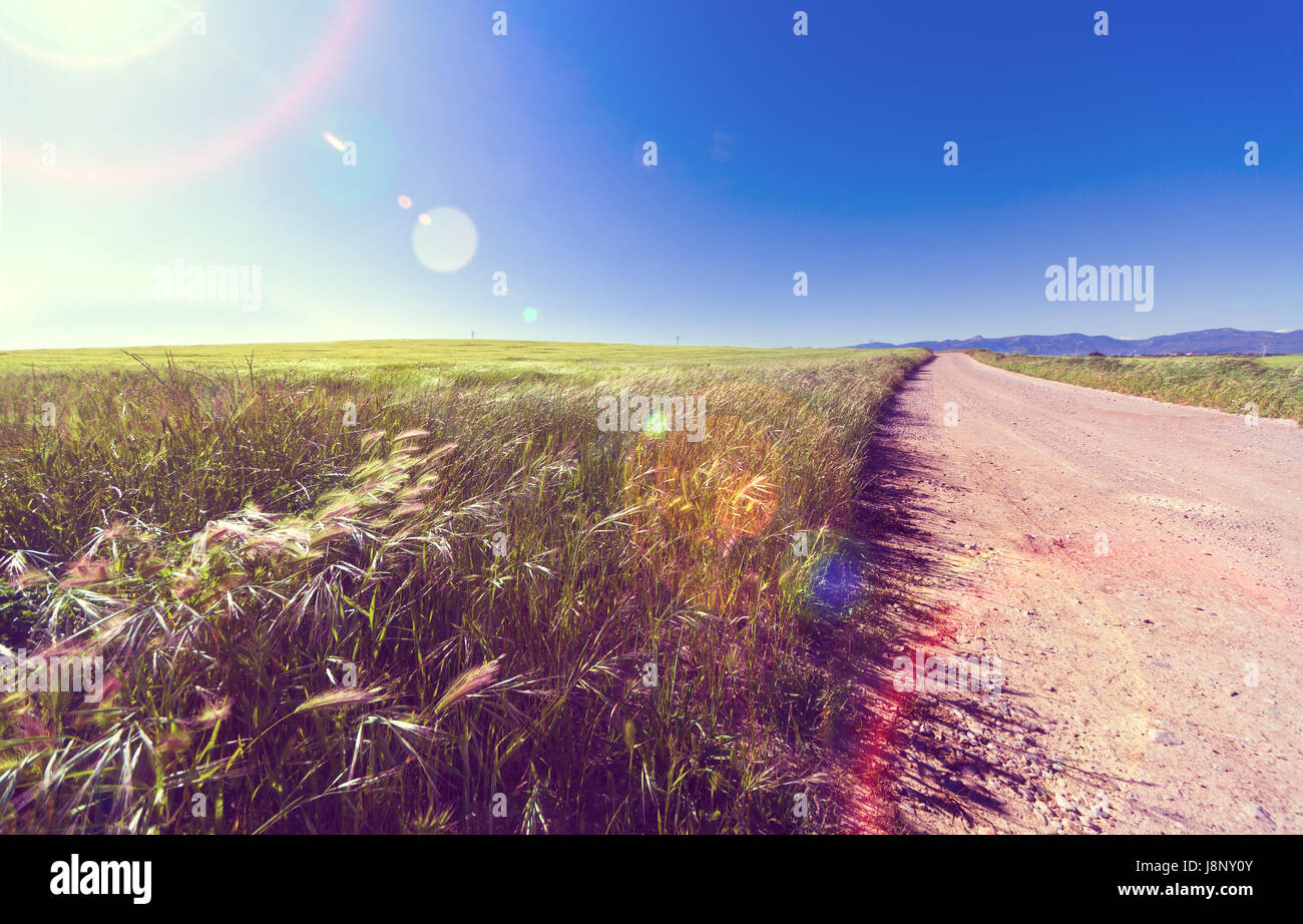 Green grass and empty road sunset.Adventure ramble concept Stock Photo ...