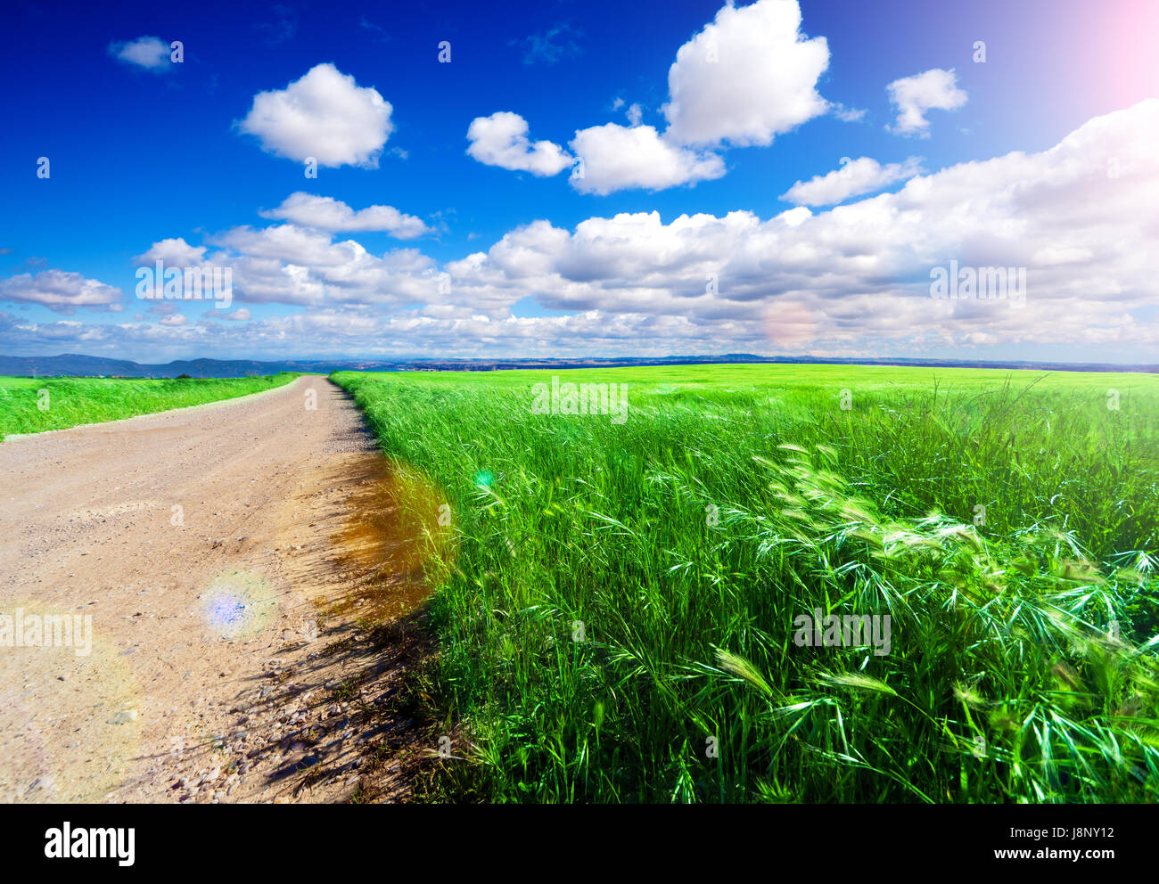 Green grass,blue sky and empty road sunset.Adventure ramble concept ...