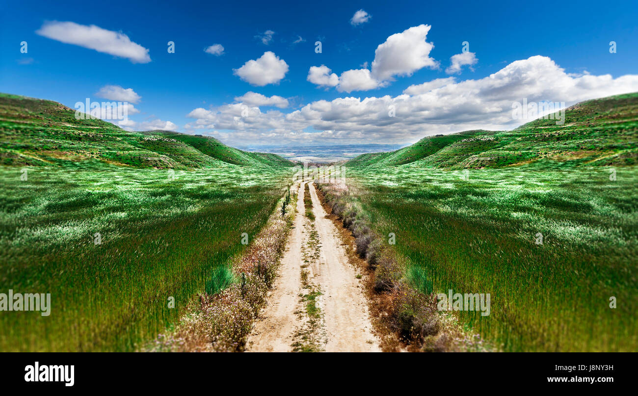 Landscape green fields and hills .Path through the green field Stock ...