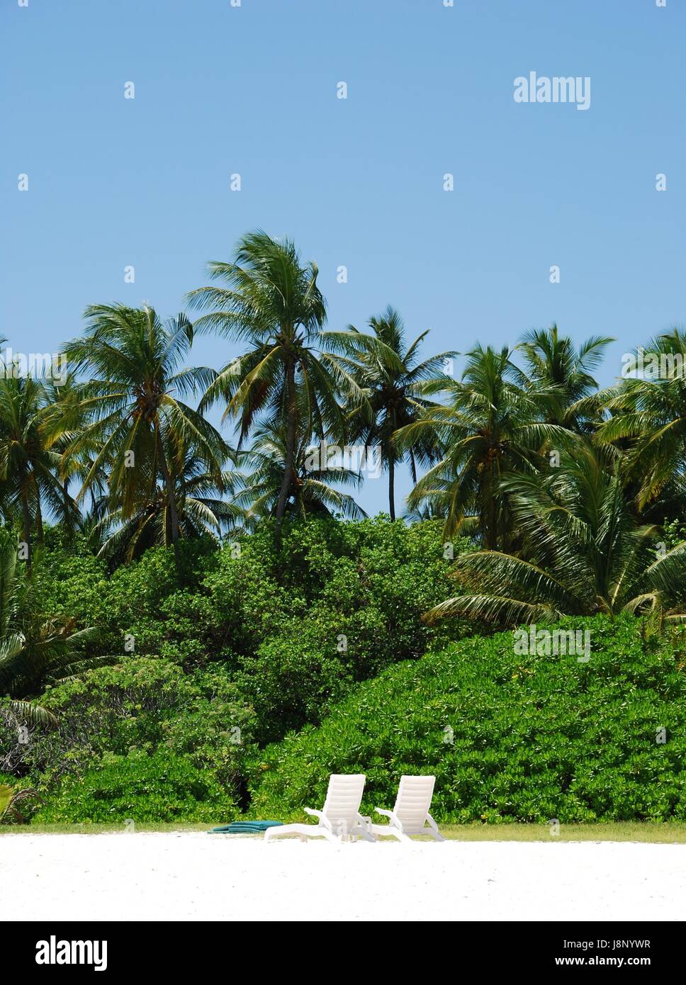 model, design, project, concept, plan, draft, tree, beach, seaside, the ...