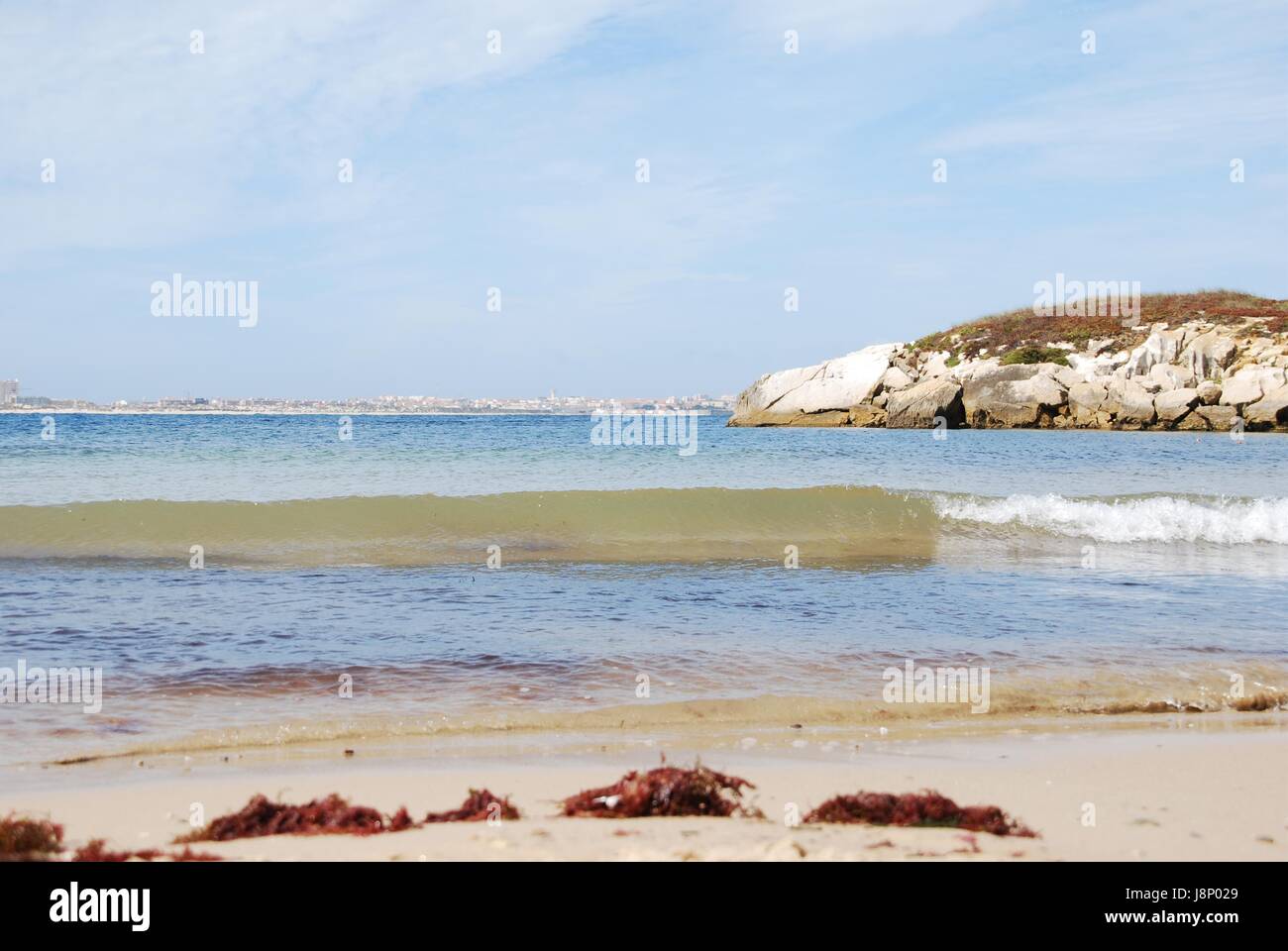 beach, seaside, the beach, seashore, coast, sight, view, outlook ...