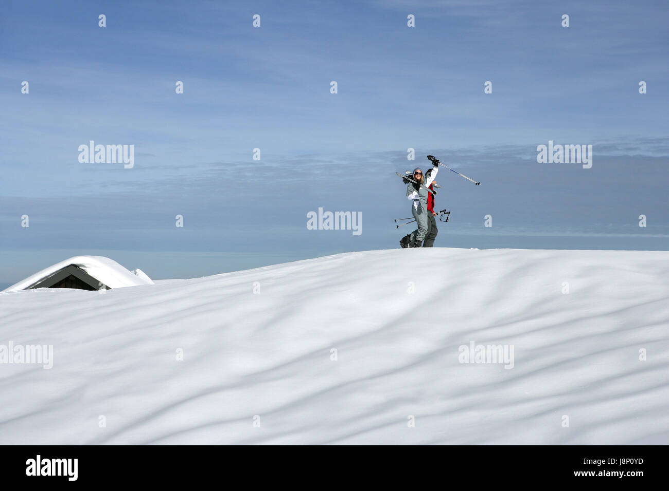 beautiful, beauteously, nice, england, alpine, freeze, beauty, cold ...