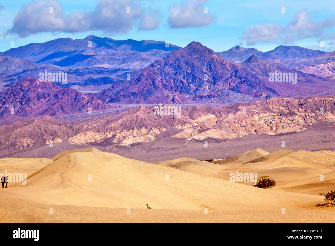 desert, wasteland, national park, travel, environment, enviroment, park ...