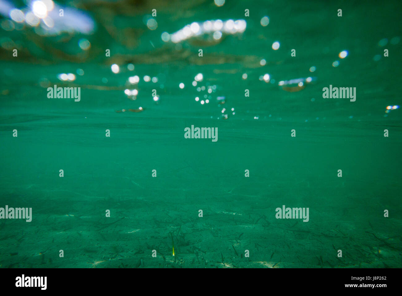 Underwater view of the sea surface Stock Photo - Alamy