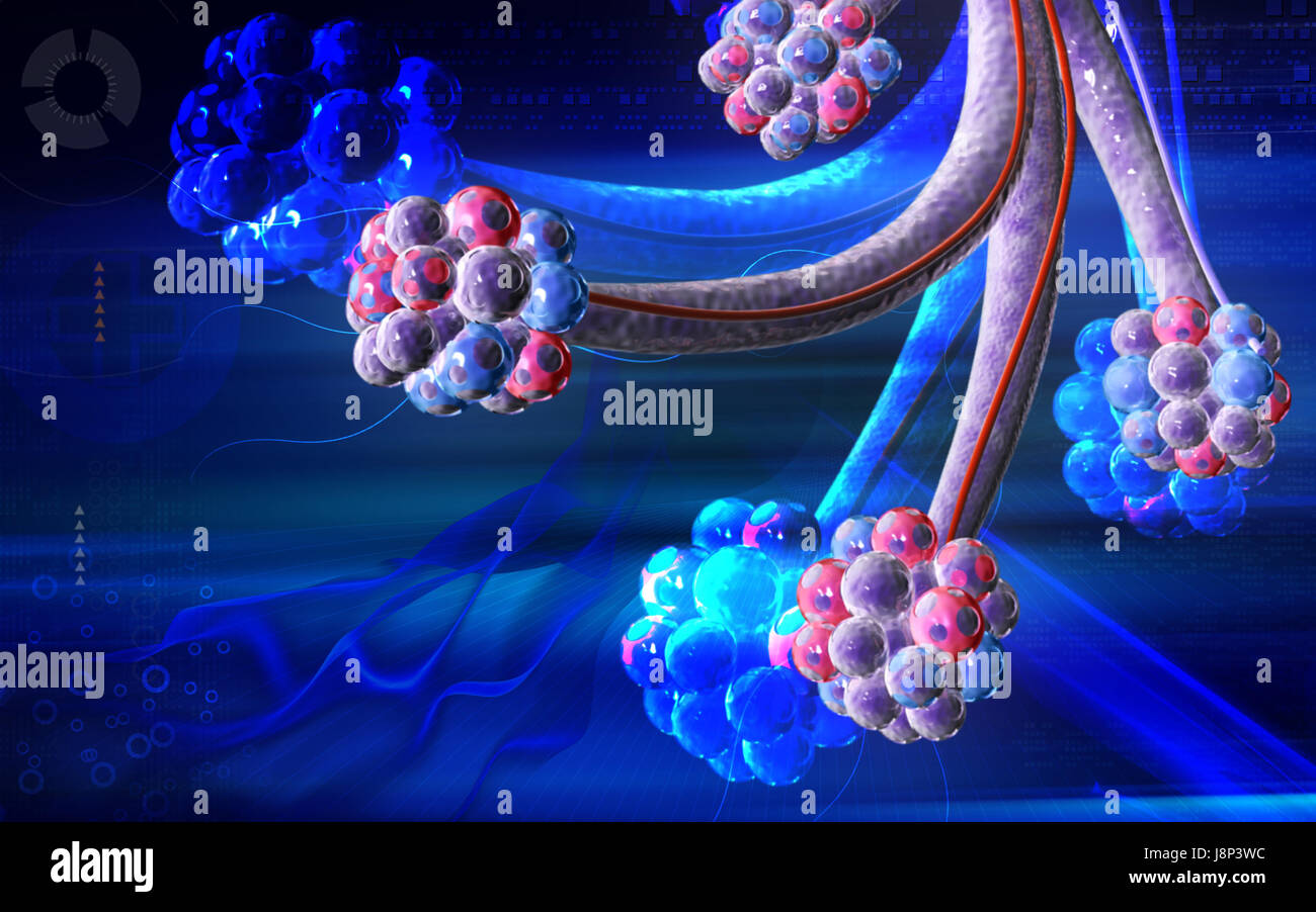 blue, education, health, medicinally, medical, graphics, colour ...