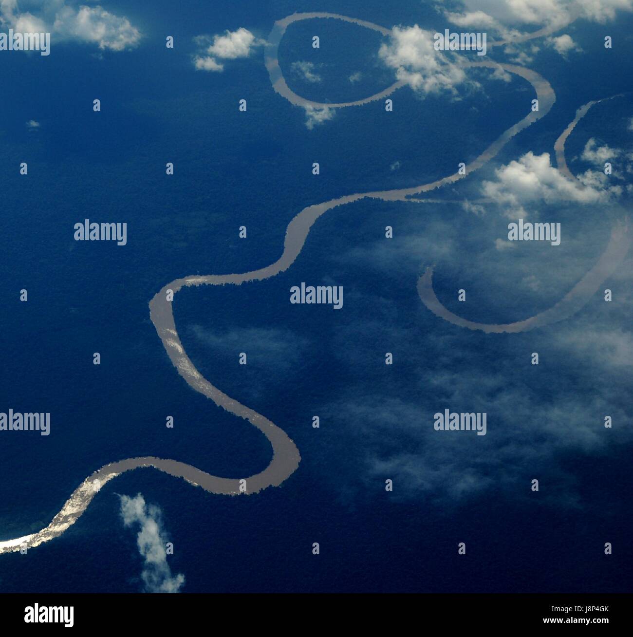 travel, protected, sheltered, environment, enviroment, exotic, protect ...